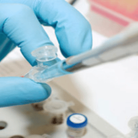 Nuclear Receptor Assays & In Vitro Toxicology Kits - INDIGO Biosciences