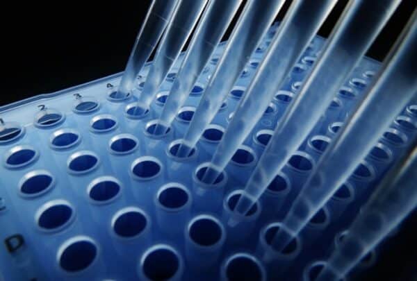 Assay Kits for Lead Discovery and Optimization | INDIGO Biosciences