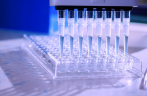 The Importance of Reporter Gene Assays in Drug Discovery - Indigo ...