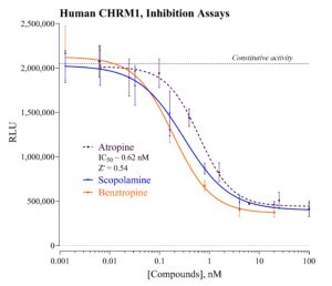 Human CHRM1 Inhibition Reporter Assay Kit - Indigo Biosciences