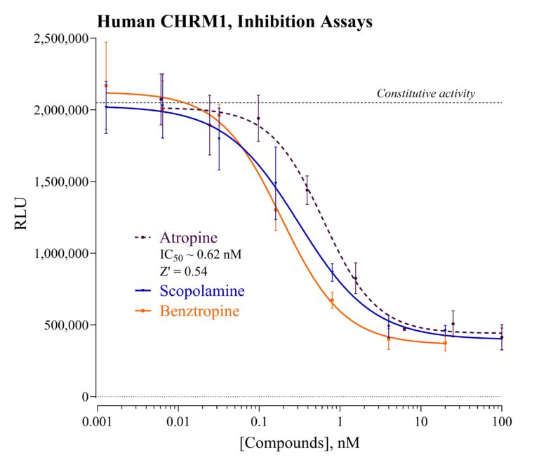 Human CHRM1 Inhibition Reporter Assay Kit - Indigo Biosciences